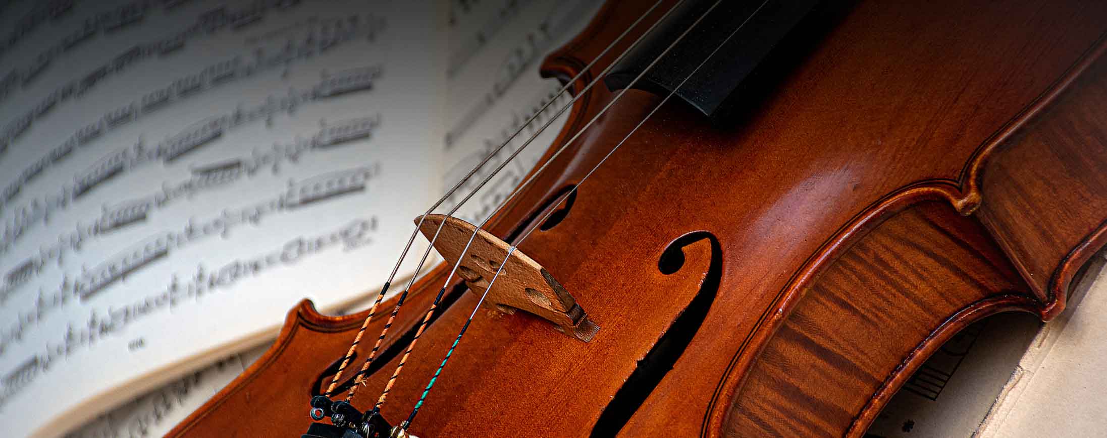 Silverwood Music School | Violin lessons in Sheffield